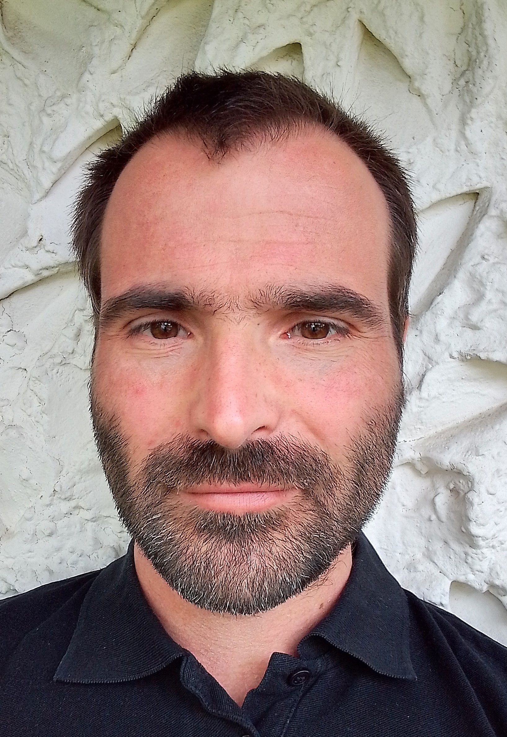 Experts’ Voices: Sum – es – est – SUMO – estis – sunt – geonatives.org